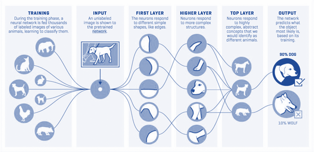 Neural Network Developers | Hire Neural Network Development Company ...